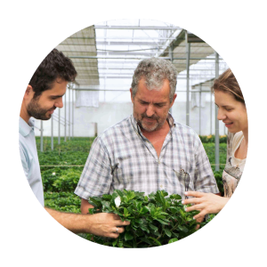 History – Marathon Plants